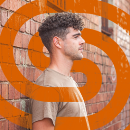 Shane Cody - Webflow